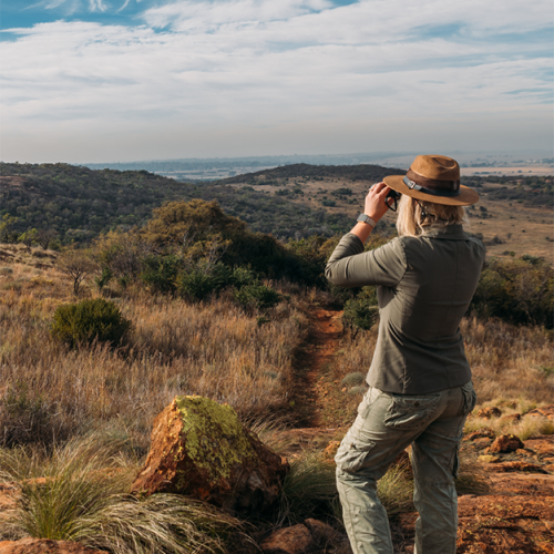 Thaba Eco Park: A Sanctuary for Conservation and Education
