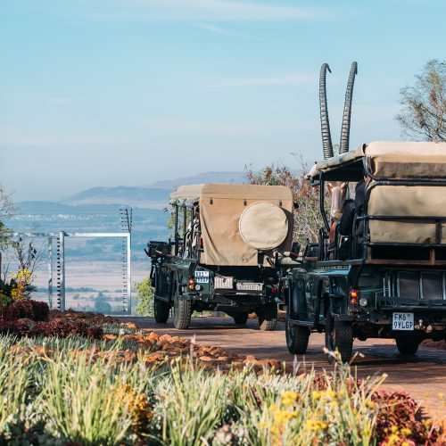 Thaba Eco Park: A Sanctuary for Conservation and Education